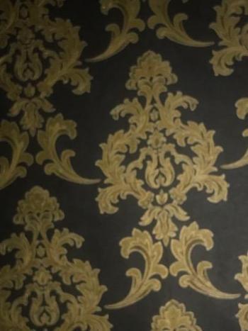 Buffalo Transgender Escorts 🔥 Buffalo NY Transgender Escort Ads